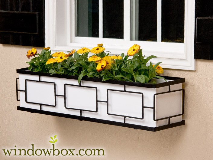 the cape on the corner: wishing for window boxes