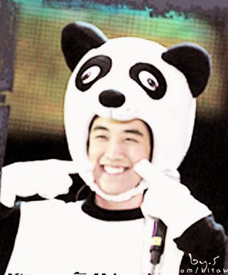 PandaLove Kpop: Los 7 Pandas mas lindos.....Amor por los Pandas KPOP