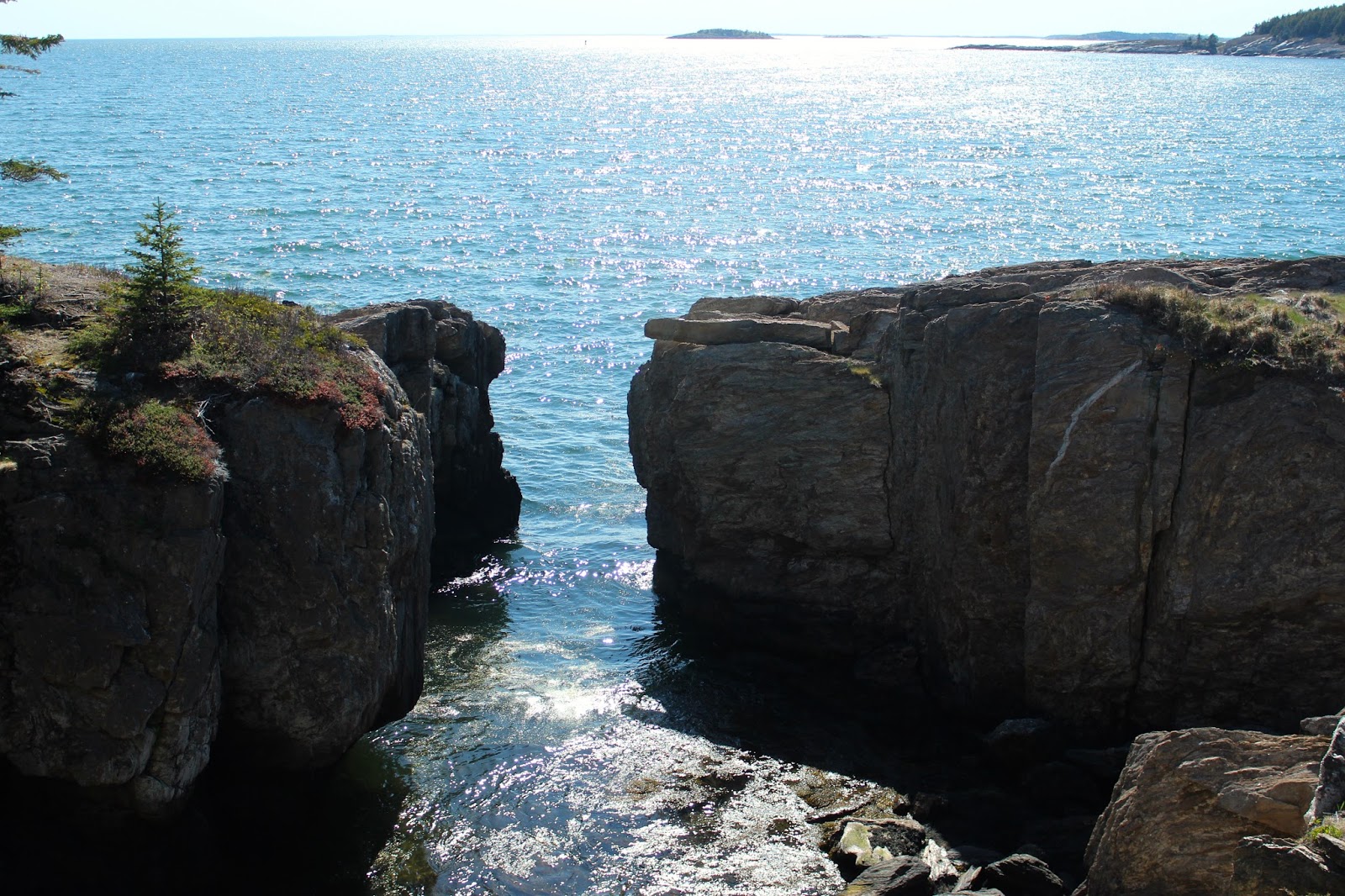 Remains of the Day: Hermit Island Camping Trip
