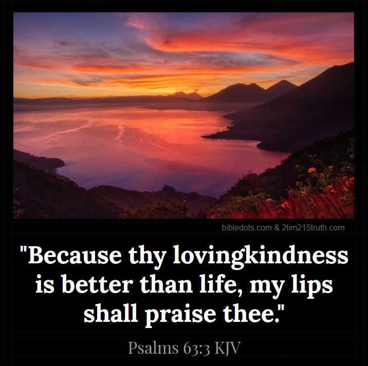 2 Timothy 2:15 Truth: Verse of the Day: Psalms 63:3 KJV