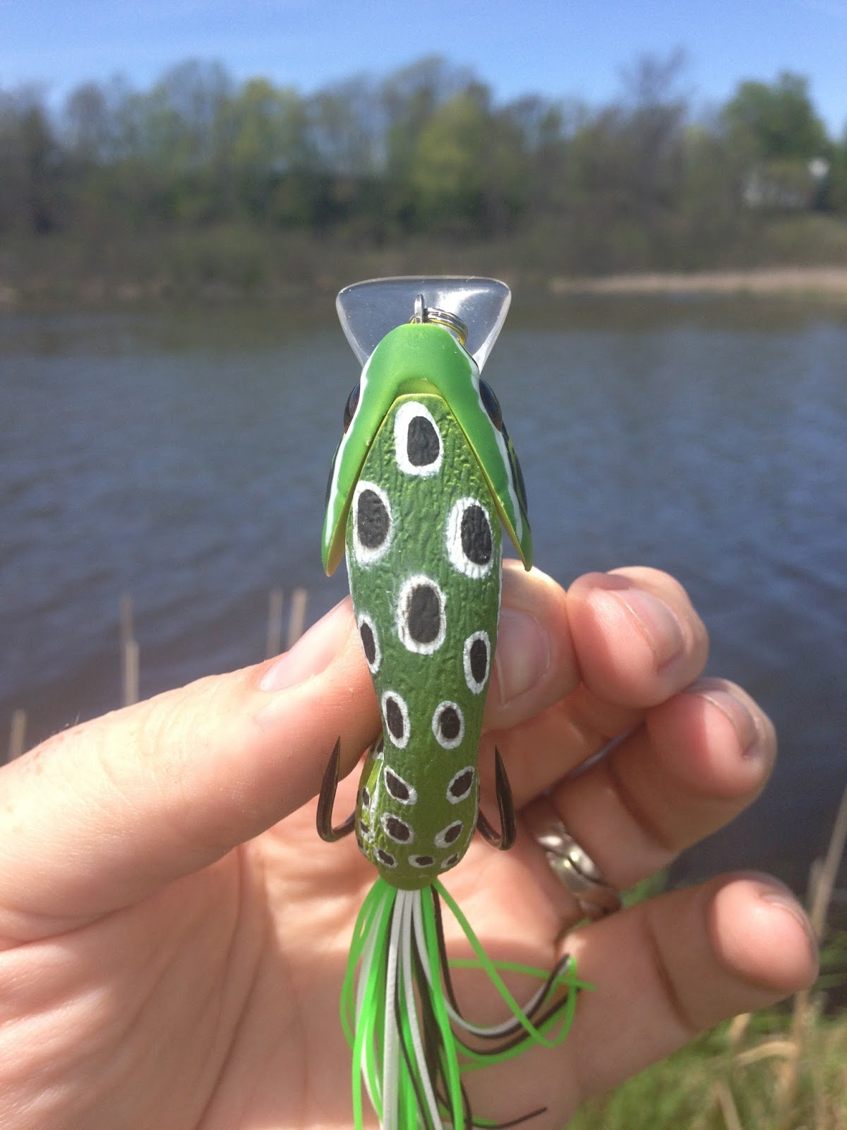 Bass Junkies Frog Pond: Molix Supernato Frog Review