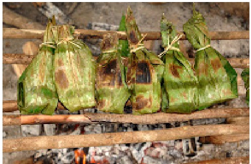 NAPO: Comida Tipica de Napo