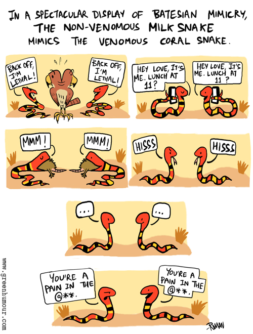 Green Humour: Batesian Mimicry