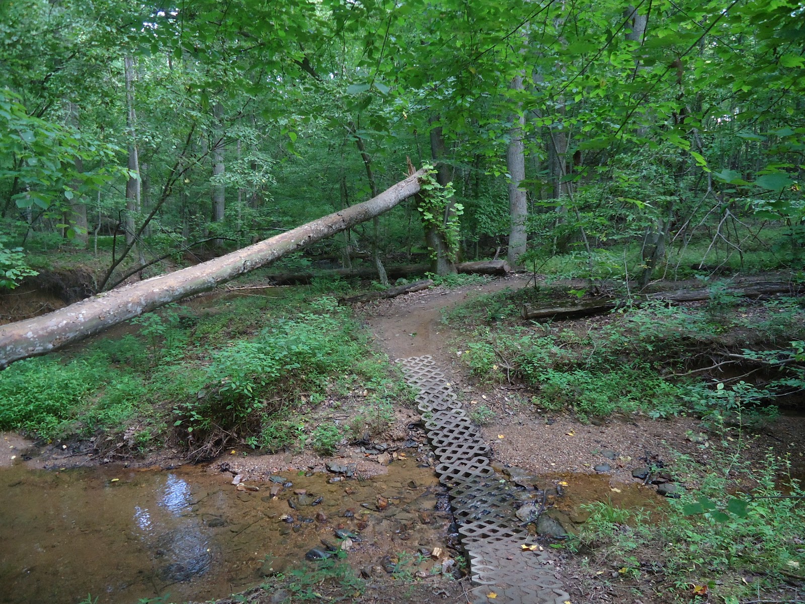 60 Hikes: Hike 23: Seneca Ridge Trail