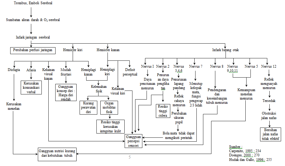 BACAAN KANGGO BARUDAK PERAWAT: PATHWAY STROKE