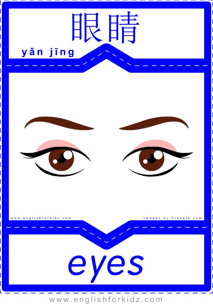 English for Kids Step by Step: 700+ English-Chinese Flashcards