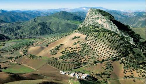 Asociación de Antiguos Scouts y Guías de la provincia de Cádiz: enero 2016