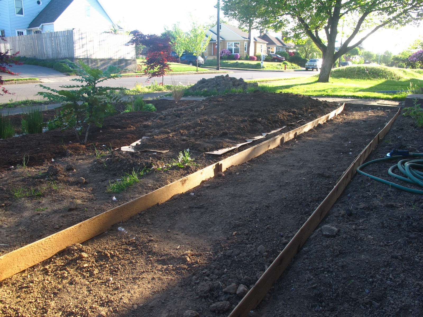 Just a girl with a hammer: I'm officially sick of digging