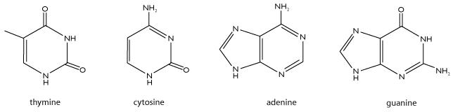 Creativity For Indonesia: DNA Double Helix