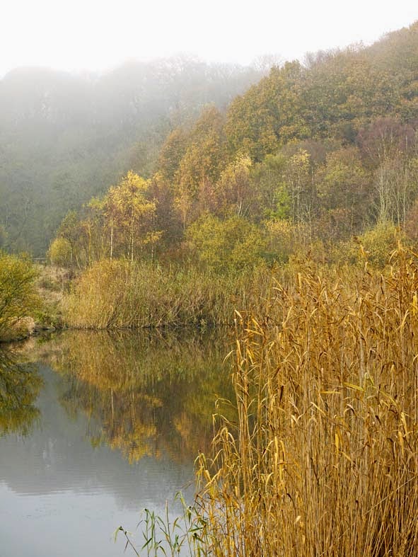 Urban and Post-Industrial Nature: Winlaton Mill - from iron foundry and ...
