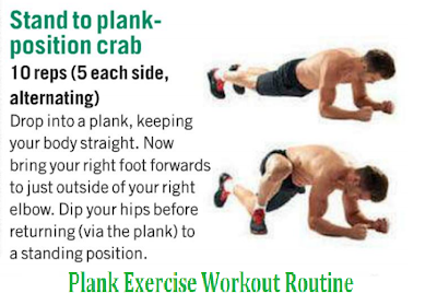 Stand Plank Crab Plank Exercise Variations | Plank Exercises Routine ...