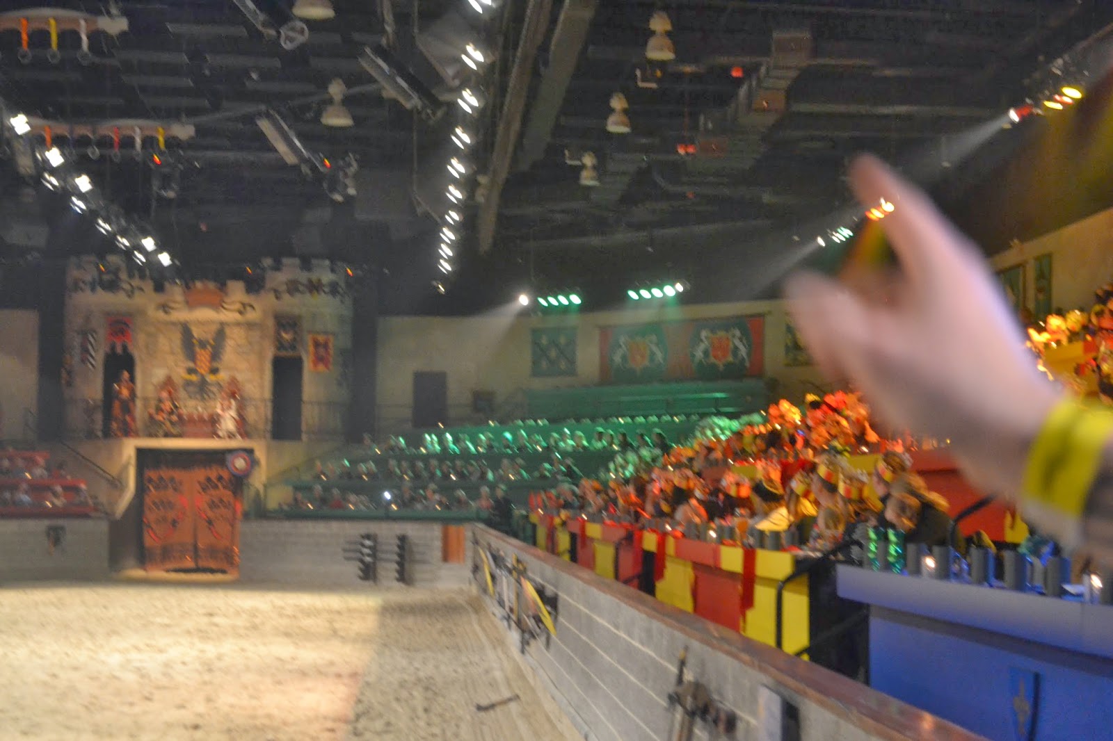 rogue poags: medieval times - baltimore