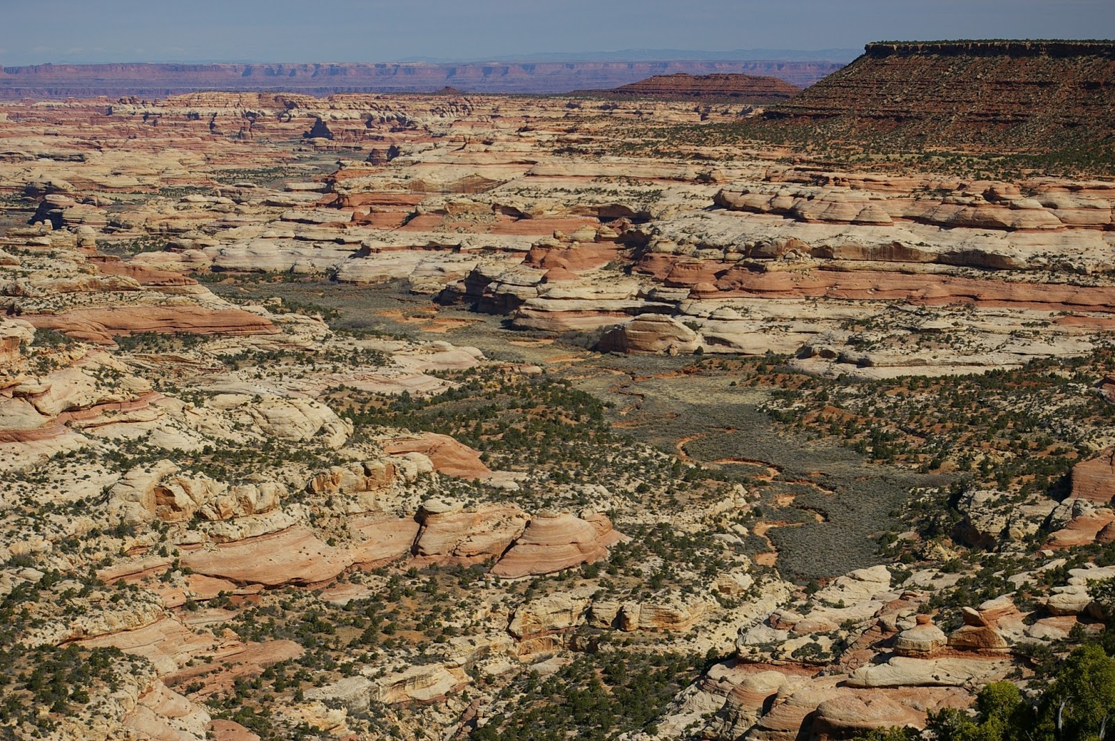 Wilderness, the Gateway to the Soul.: Canyonlands, UT April, 2013