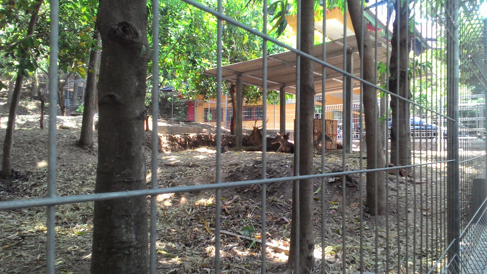 Kenal lebih dekat Patung Sapi dan Taman Rusa Undip | Aku Dan Tembalang