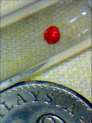 Koleksi Geliga & Khazanah Asli: Geliga kala jengking merah