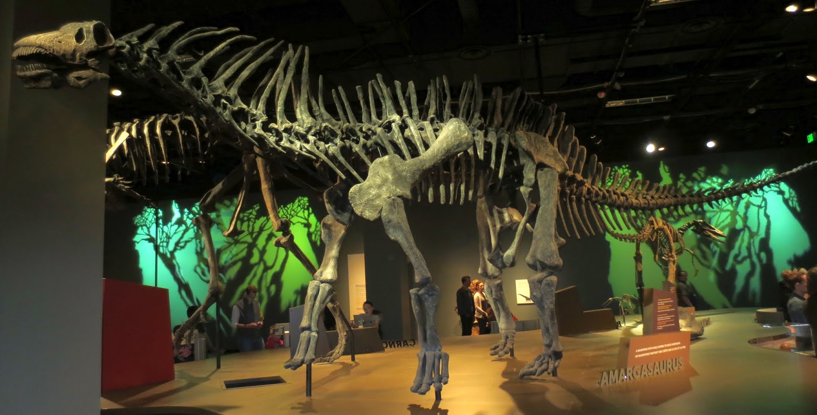 Equatorial Minnesota: Bajadasaurus pronuspinax