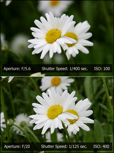 The Binki Box: Back to basics! ISO, Aperture and Shutter Speed