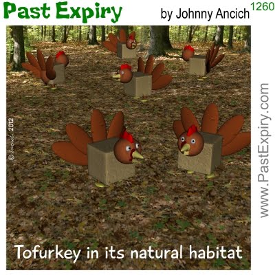 Past Expiry Cartoons and Unique Graphic Designs.