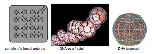 THE UNKNOWN MOMENT: Magical DNA- quantum fields and communication