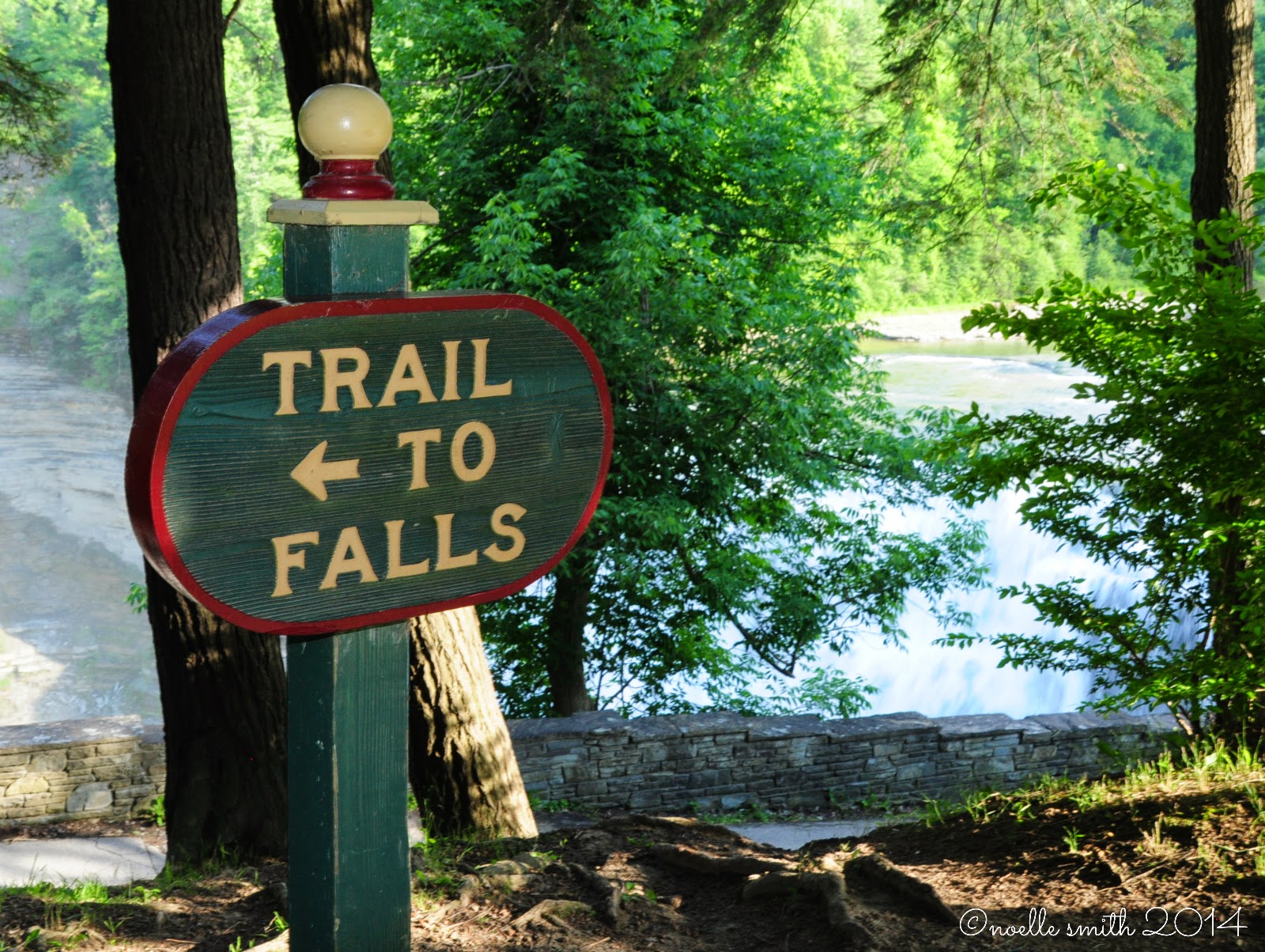 grey matters: so far, and yet...so close! {letchworth state park, new york}