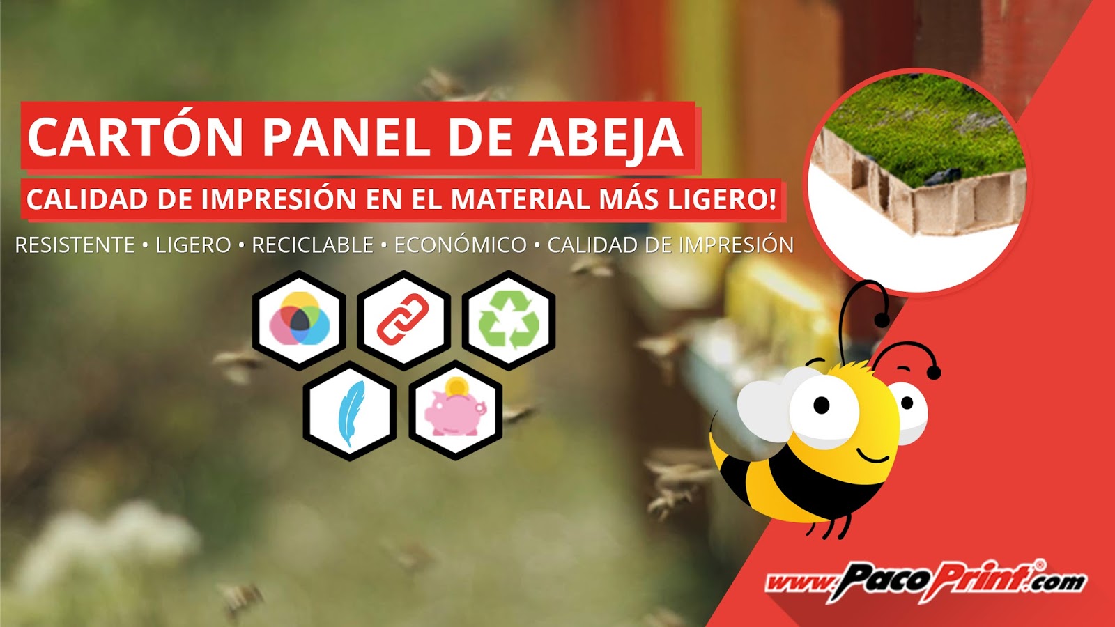 Pacoprint Impresion Digital de Gran formato: Cartón panel de abeja