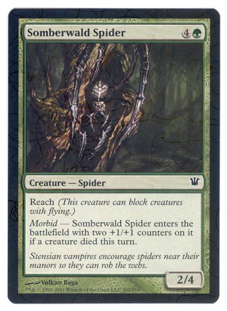 Magic the Gathering Adventures: Abilities: Flying, Reach, Morbid ...