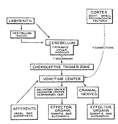 Cal Poly BIO 502: Kicking Kinetosis