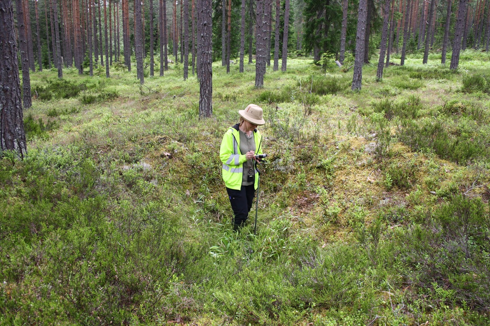 ARKEOLOGI GÄVLEBORG: Granskning av skog och historia objekt