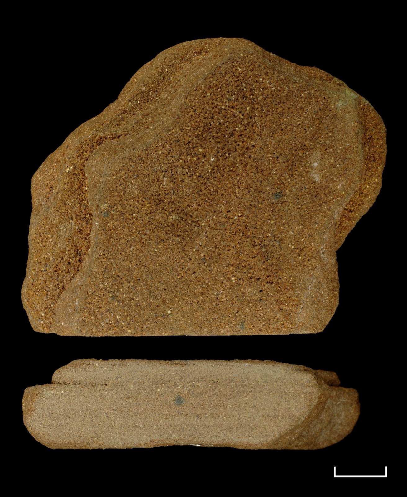 Geology 1403 - Physical Geology: Siliciclastic Sedimentary Rocks