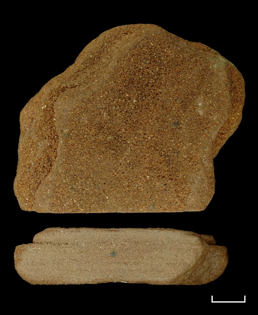 Geology 1403 - Physical Geology: Siliciclastic Sedimentary Rocks