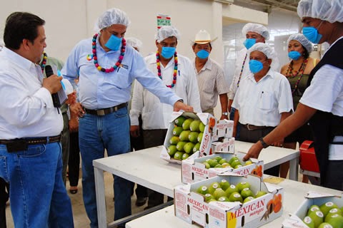 Verificación del Sistema de Gestión de la Inocuidad de alimentos ...