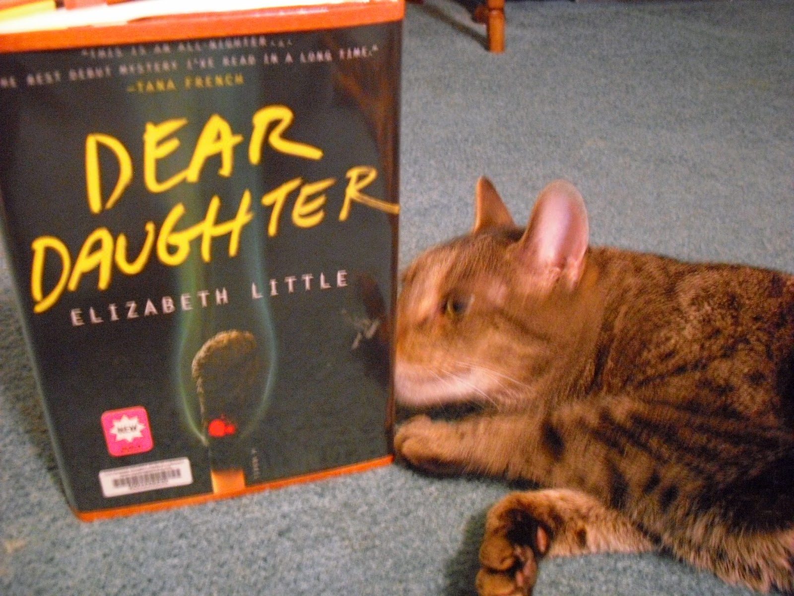 Grab A Book From Our Stack: "Dear Daughter" by Elizabeth Little ...