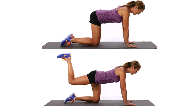 Quadruped hip extension - Motywacja non stop - Trening na płaski brzuch ...