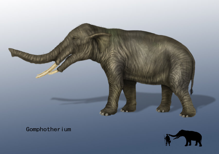 El rinconcito del pequeño naturalista: El rincón de los documentales