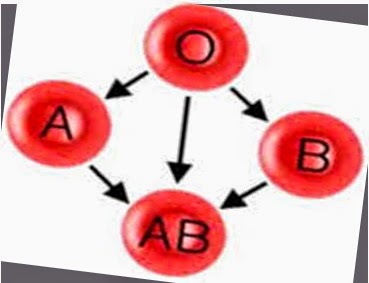 Classification of blood | NEED HEALTHY BODY