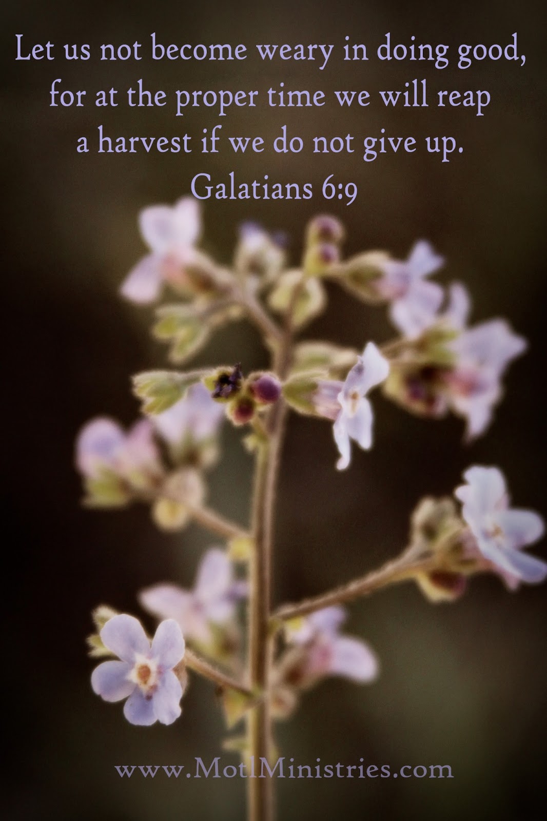 Use this link to download the lock screen image or right click the ...