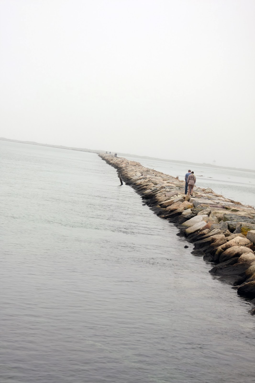 Wherever It Takes: Provincetown year-round