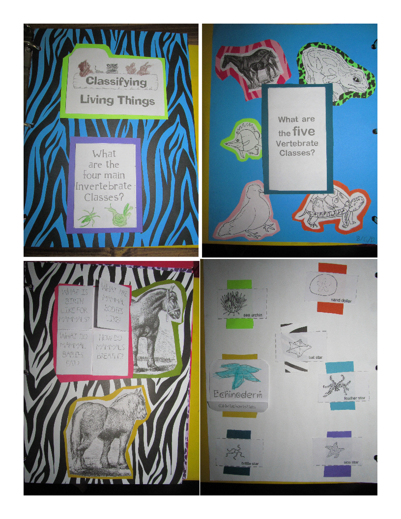 Loving Life Lapbooks