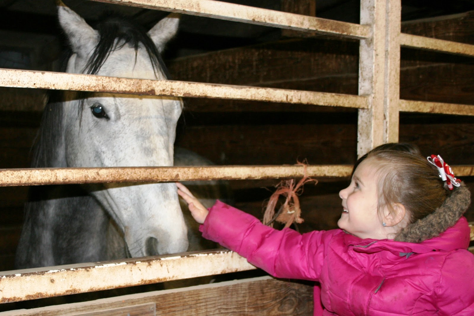 The Logan's: C-Arrow Stables