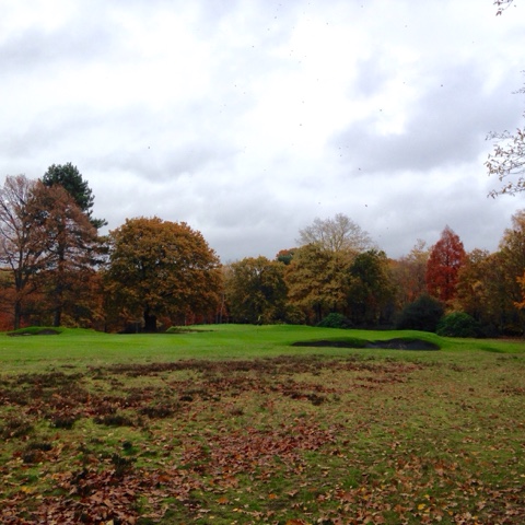 InPutting: A day in the life of ......... Matt Plested, Head ...