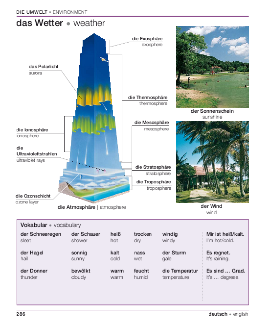 die Umwelt Environment