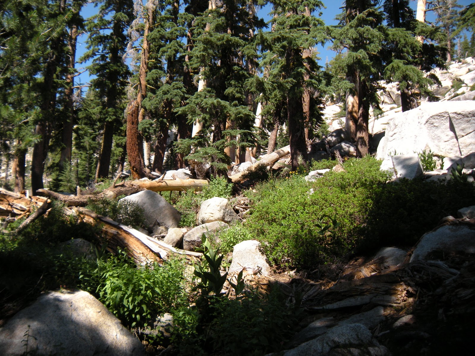 Peachy Hiker: Desolation Wilderness Grouse Lake