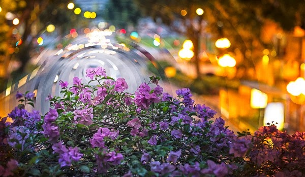 Fong Qi Wei | 100 Photographers