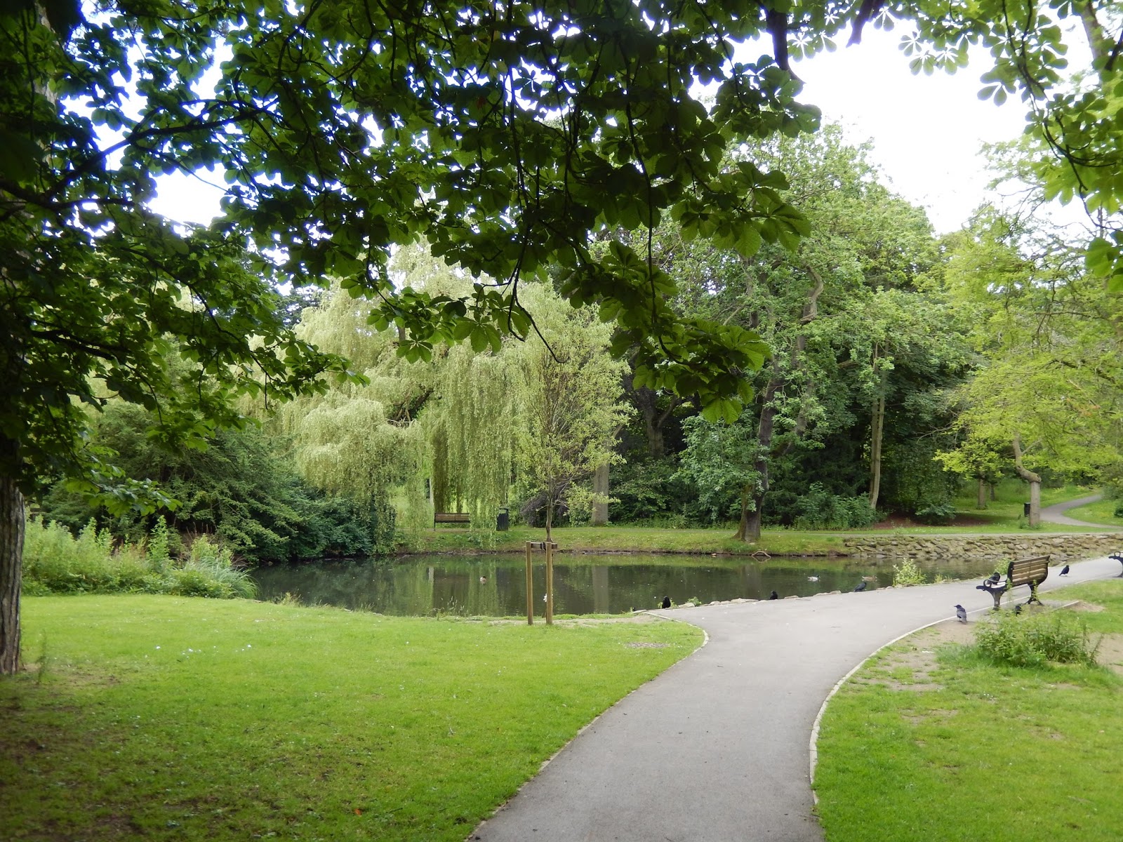 Stewart Park, Middlesbrough | SkyBlueSophie