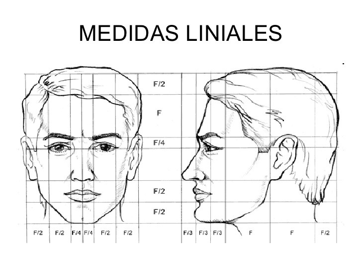 DIBUJO DE ROSTRO Profesora Cynthia Campos