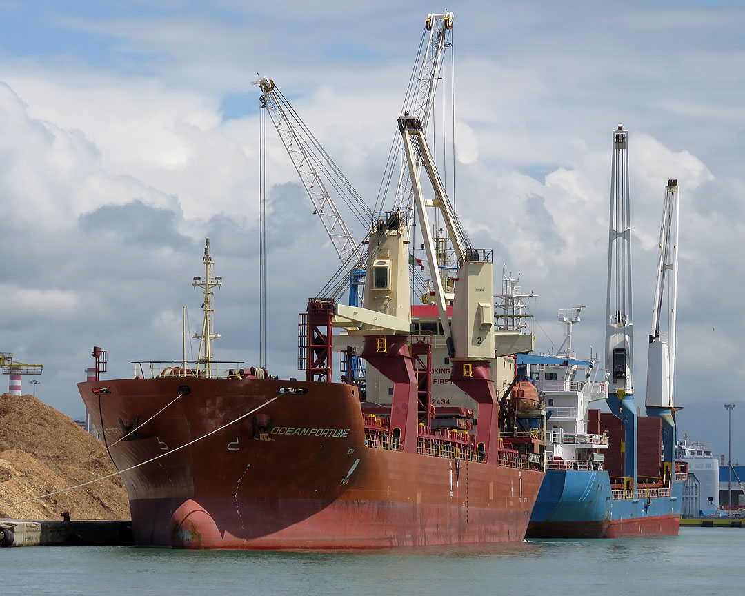 Livorno una foto al giorno: Ocean Fortune & Cdry White