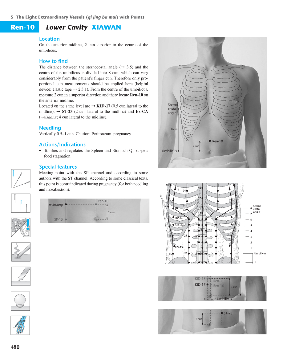 Acupuncture Masters: Acupuncture Points Database - Ren Channel