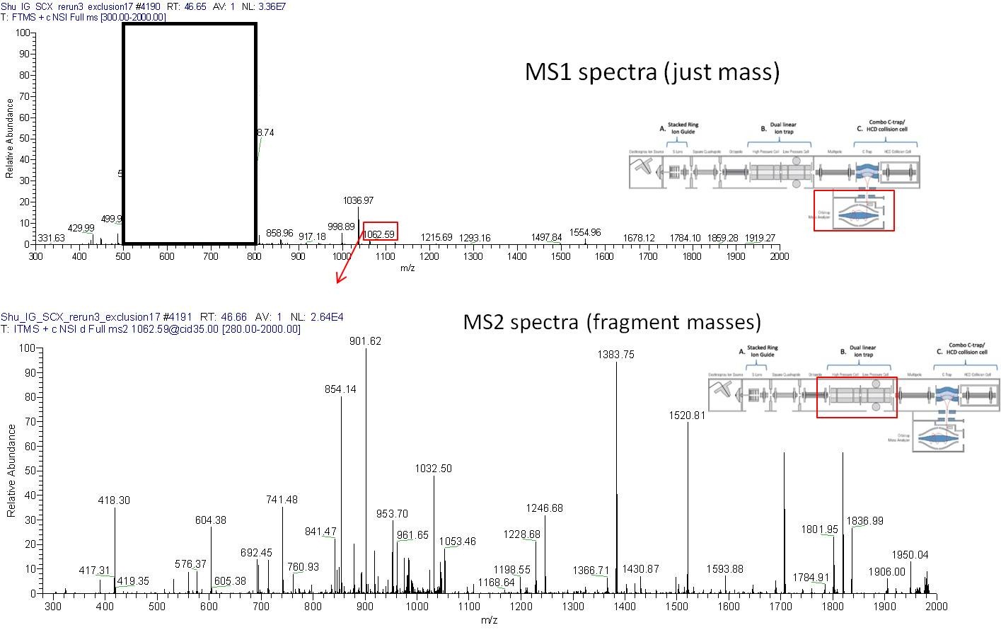News in Proteomics Research: Dynamic exclusion mass windows -- and why ...