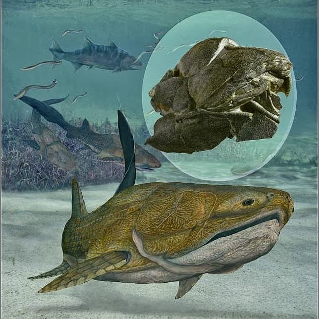 Cuaderno de Paleontología: octubre 2013