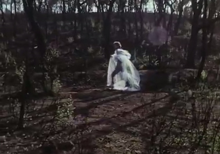 The Bloody Pit of Horror: Morbo (1972)